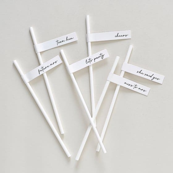 Hen's Party Paper Straws (16) – Party Shop